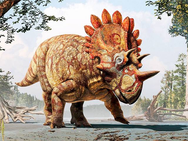 Scientists discover major Jurassic fossil site in Argentina | Geology Page