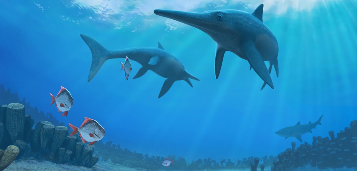 Slower evolution and climate change drove ichthyosaurs to extinction ...