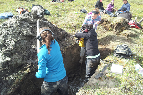 Studies how Arctic soils are affected by precipitation, mainly snow ...