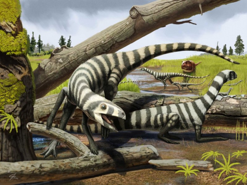 240 Million Year Old Fossils Indicate How Dinosaurs Grew From