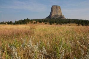 Devils Tower | Geology Page