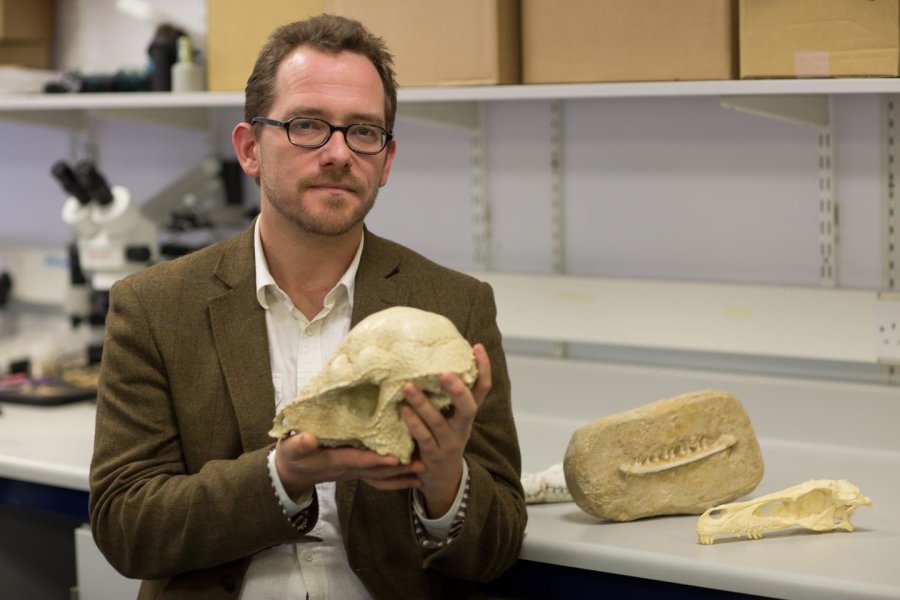 Mammals almost wiped out with the dinosaurs | Geology Page