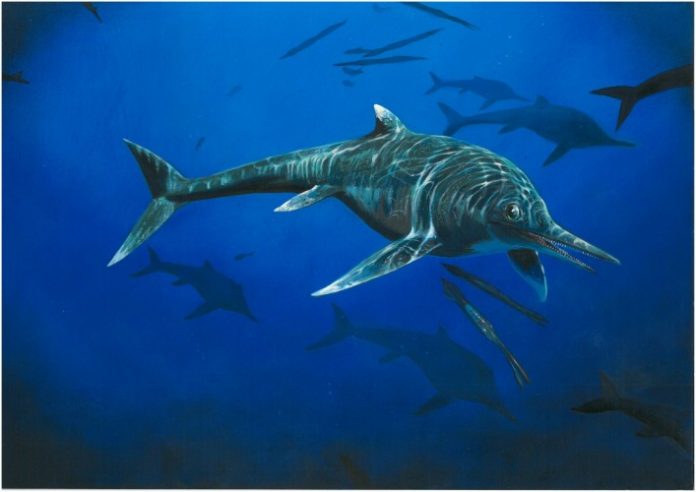 Palaeontologist discovers new species of 200 million-year-old British ...