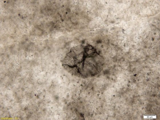Ancient rocks hold evidence for life before oxygen | Geology Page