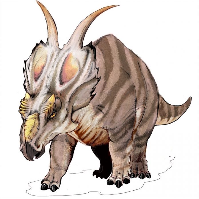 Scientists redefine horned dinosaur relationships by naming two new ...