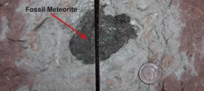 Rare meteorites challenge our understanding of the solar system ...