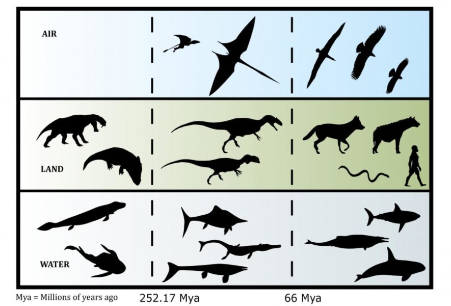 Examples Of Scavengers