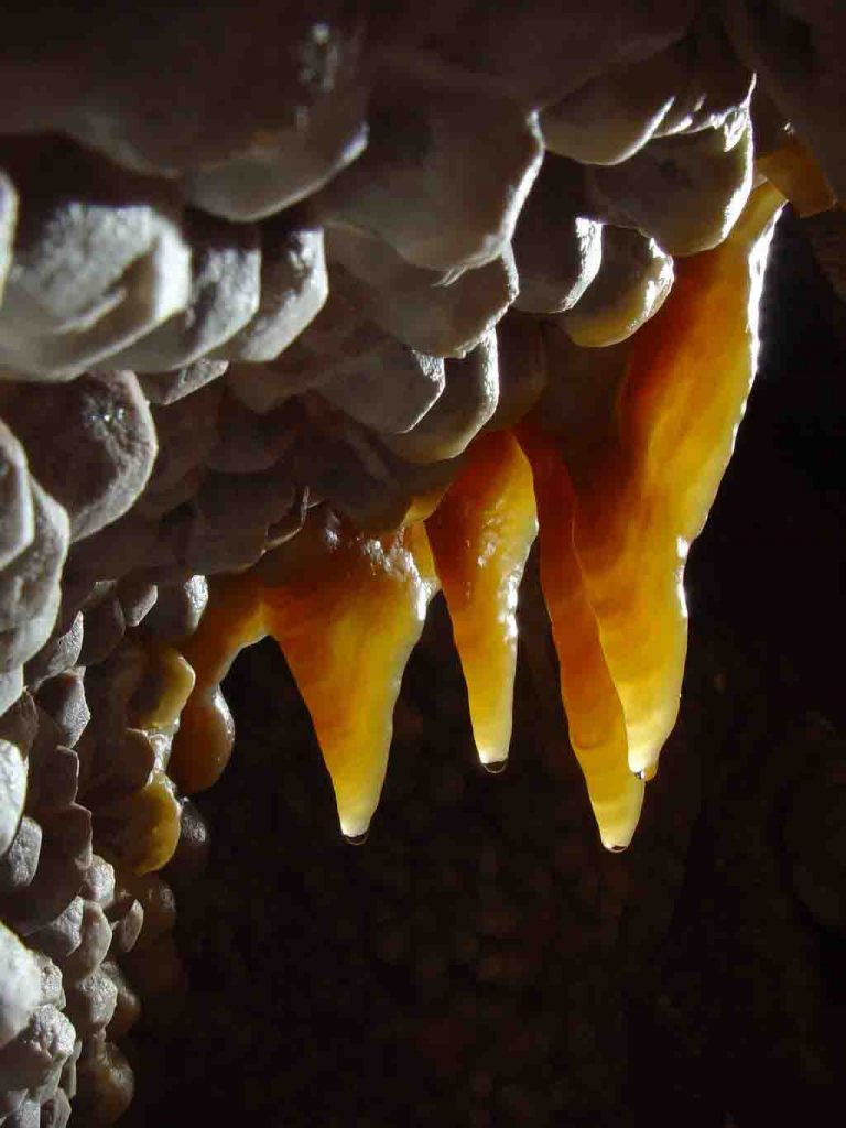 Jewel Cave National Monument | Geology Page
