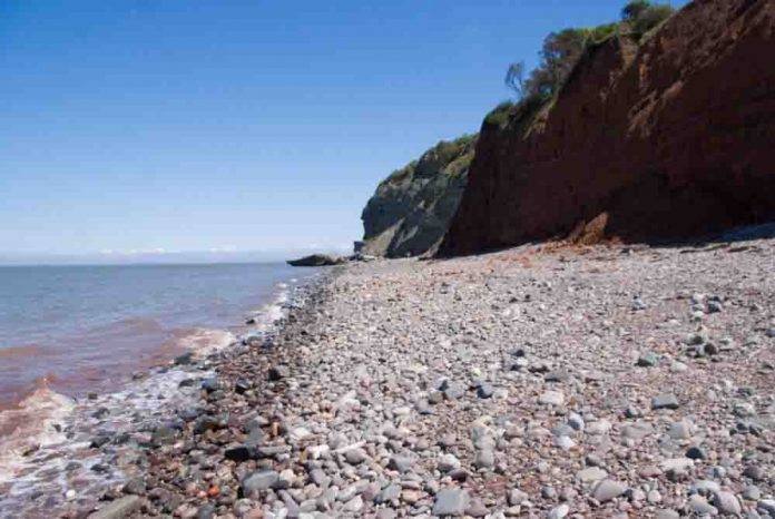 The Blue Anchor Fault | Geology Page