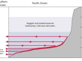 ocean Archives | Geology Page