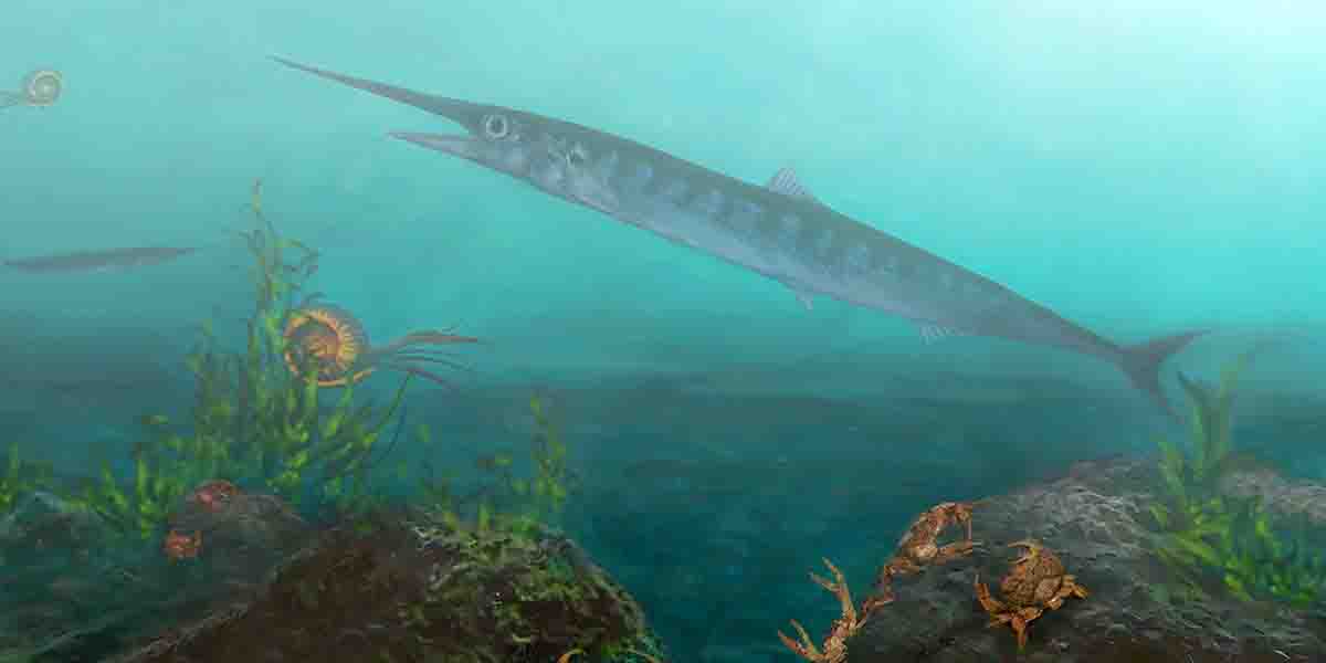 Child helps paleontologists in discovery of new ancient fish species ...