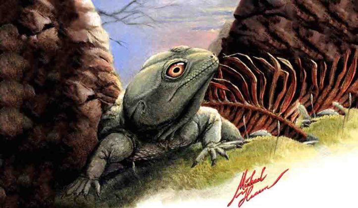 A timeline on the evolution of reptiles : 75-year-old belief in reptile ...