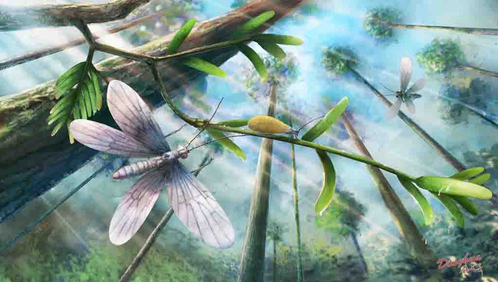Fossil study sheds light on ancient butterfly wing colors | Geology Page
