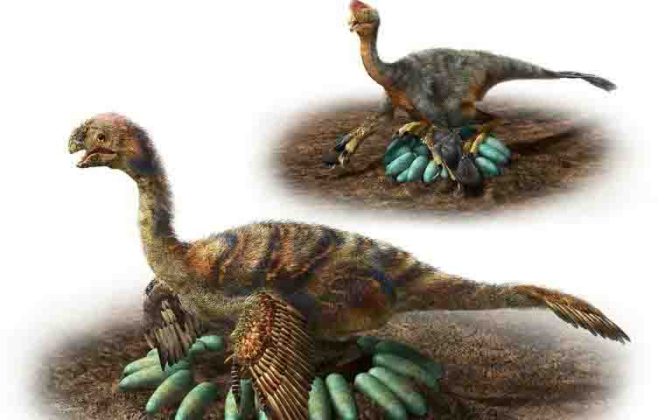 How does a one-tonne dino hatch its eggs? | Geology Page