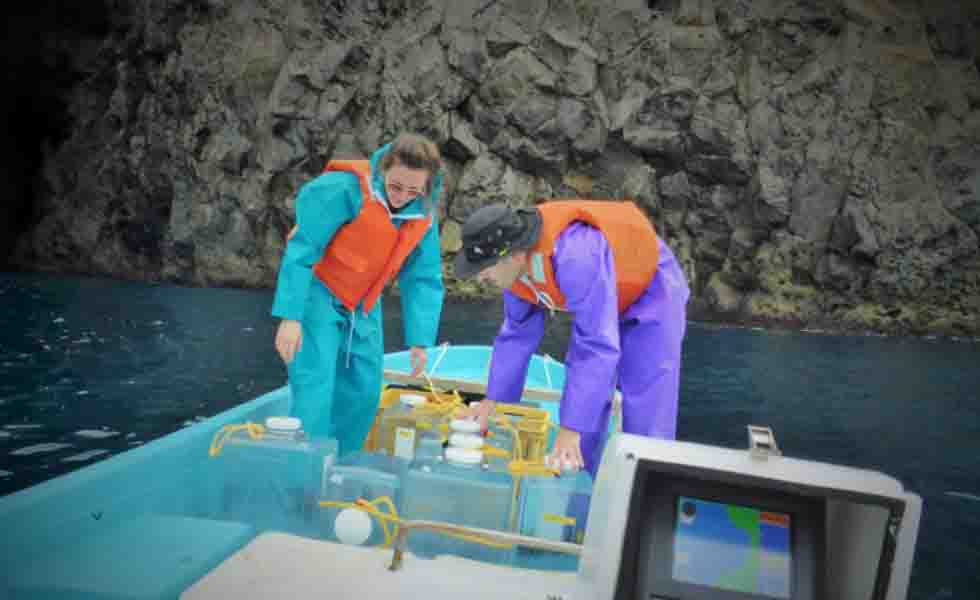 Fossil algae reveal 500 million years of climate change | Geology Page
