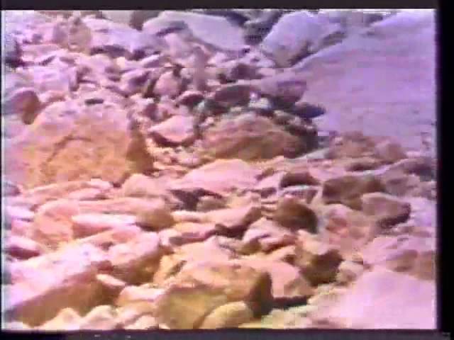 Debris Flow Dynamics | Geology Page