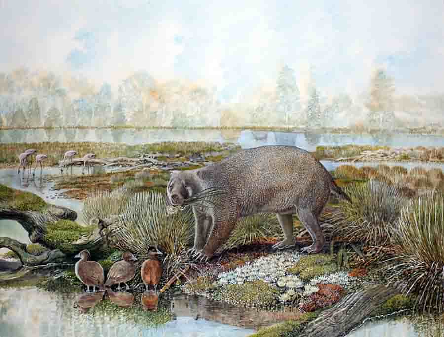 Big-boned marsupial unearths evolution of wombat burrowing behavior ...