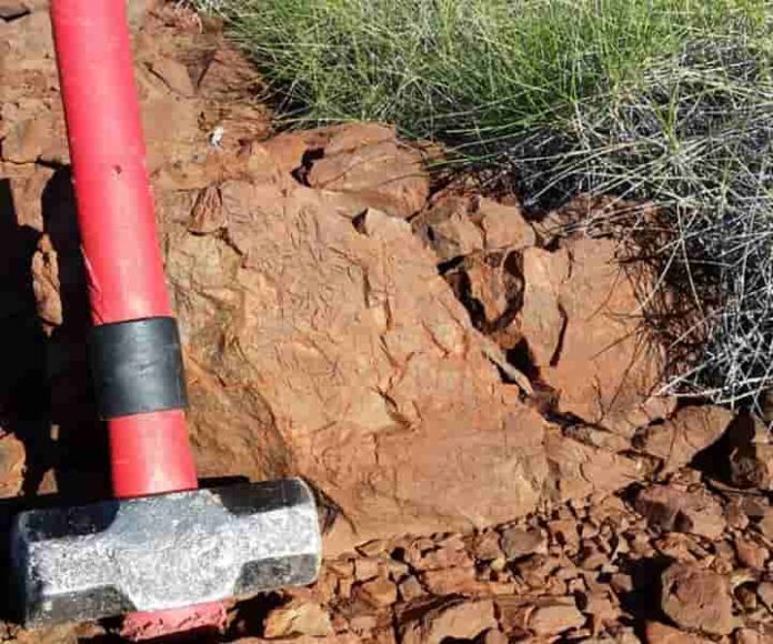 Slow start of plate tectonics despite a hot early Earth | Geology Page