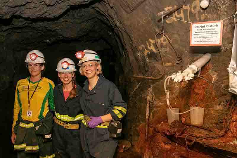 Earth's crust mineralogy drives hotspots for intraterrestrial life ...