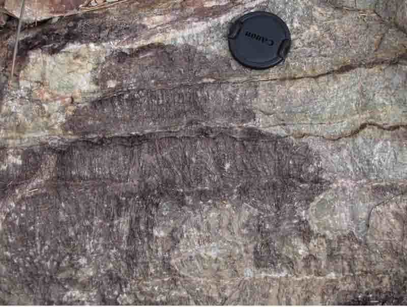 New research uncovers continental crust emerged 500 million years ...