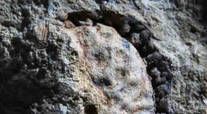 Geology Page