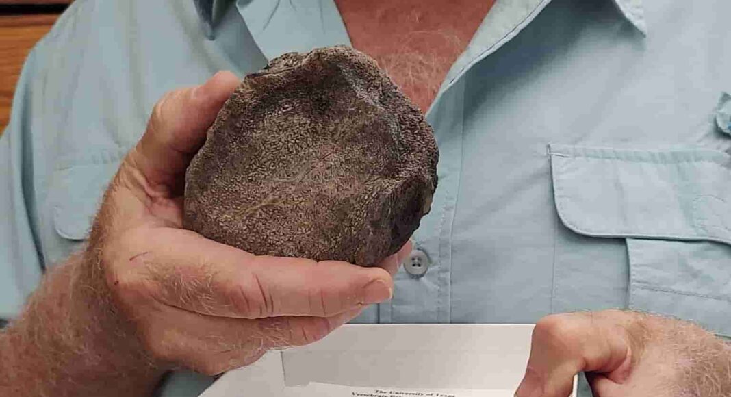 Latest News | Geology Page