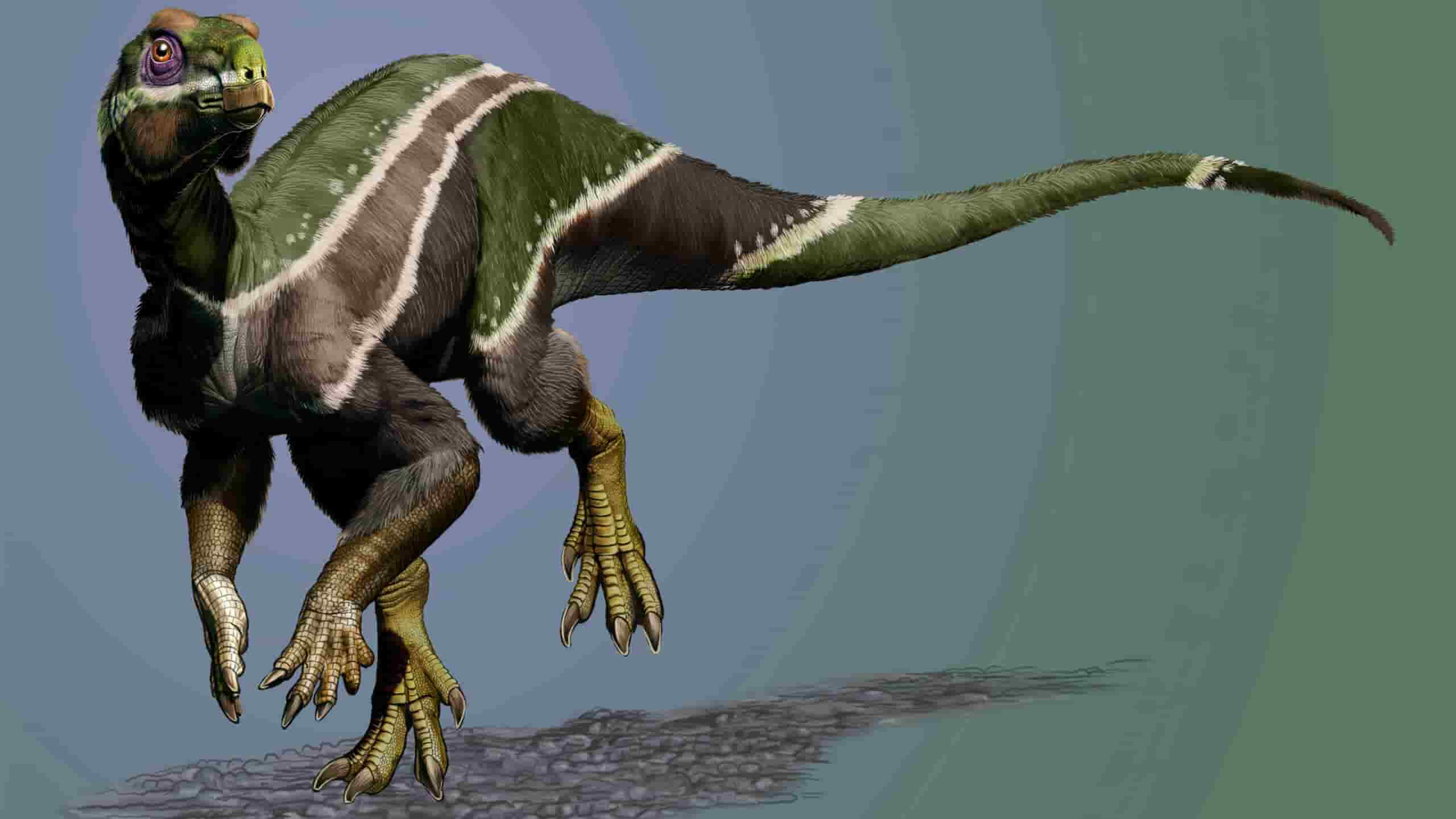 New dino, 'Iani smithi,' was face of a changing planet | Geology Page