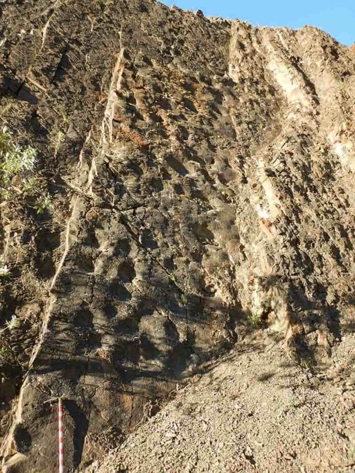 Scientists explore dinosaur 'Coliseum' in Denali National Park ...