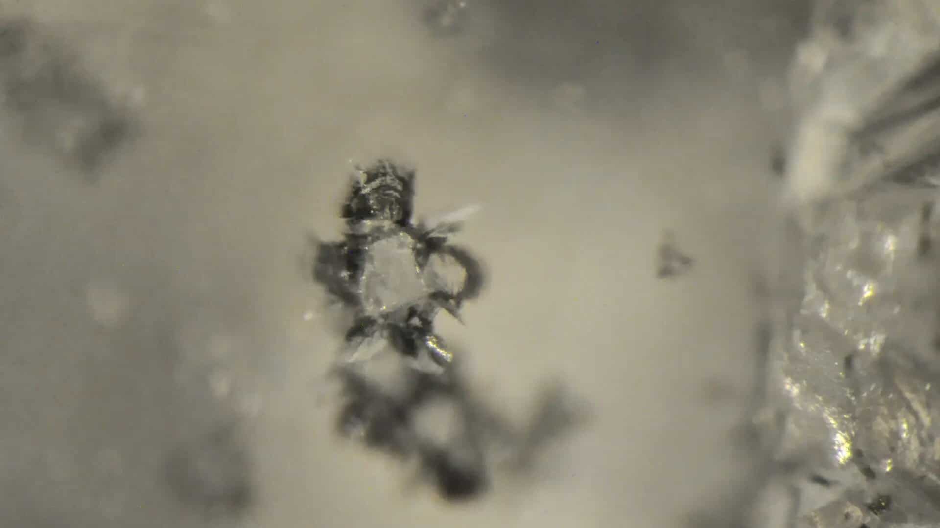 Superdeep diamonds provide a window on supercontinent growth | Geology Page