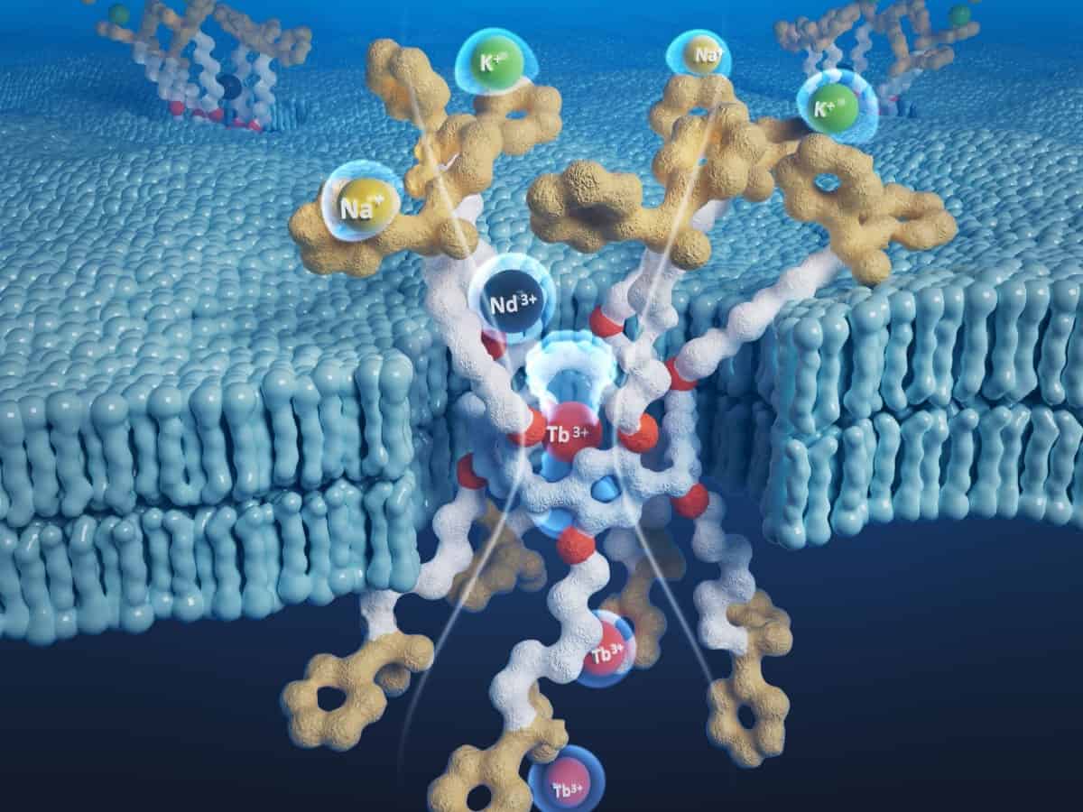Rare earth element extraction bolstered by new research | Geology Page