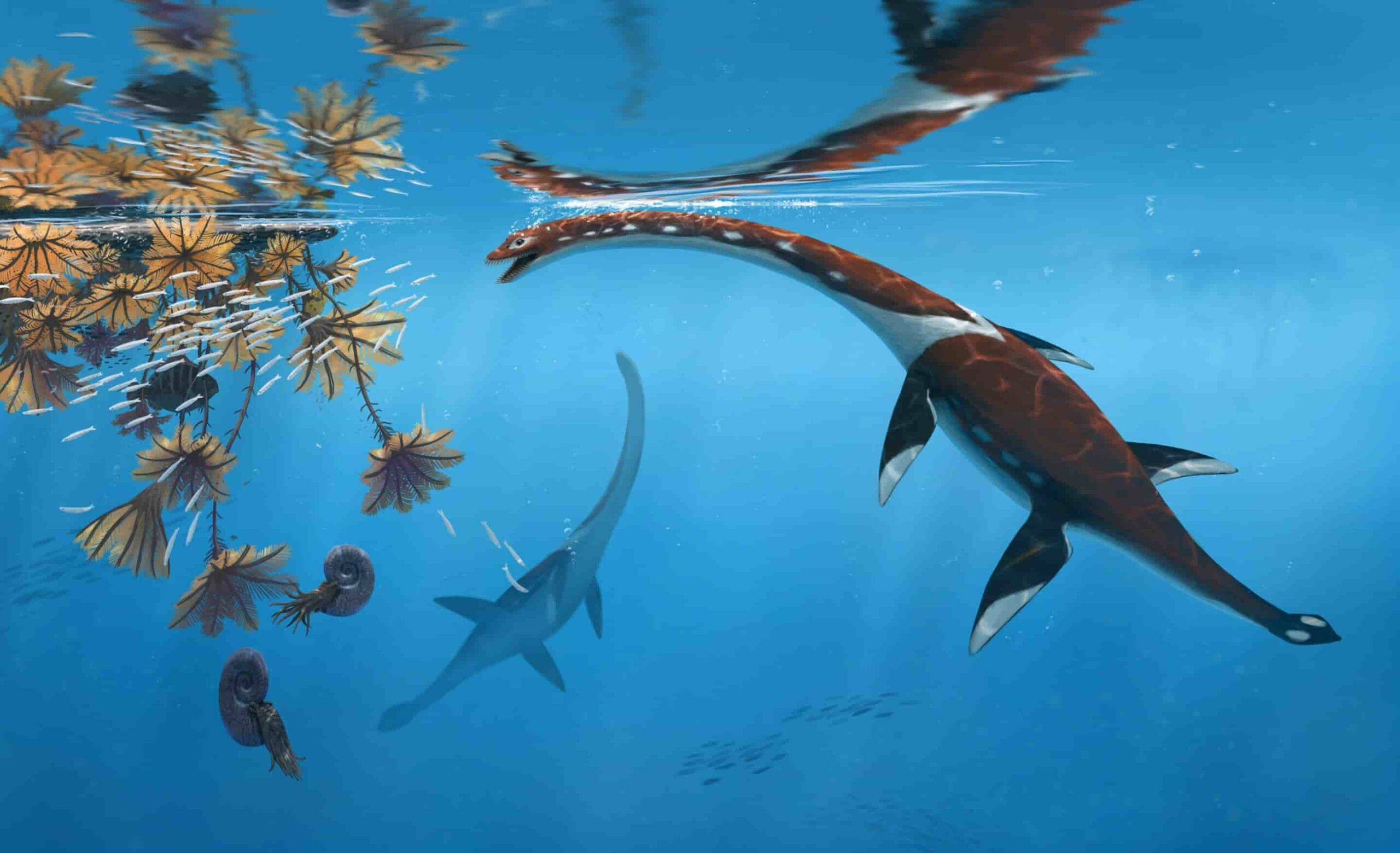 New long-necked marine reptile species discovered in Germany's famous Jurassic fossil beds ...