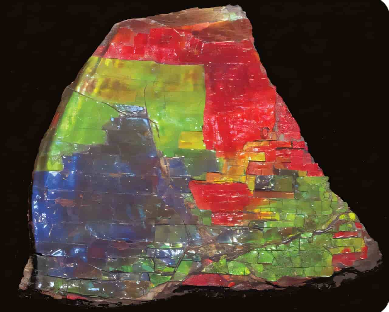 How ammolite gemstones get their vivid colors | Geology Page