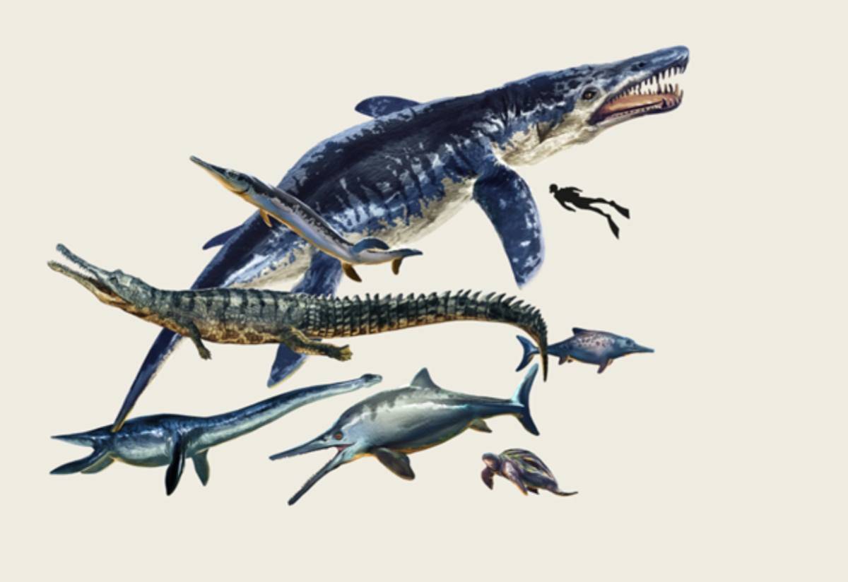 Ancient oceans were ruled by super predators unlike anything today ...