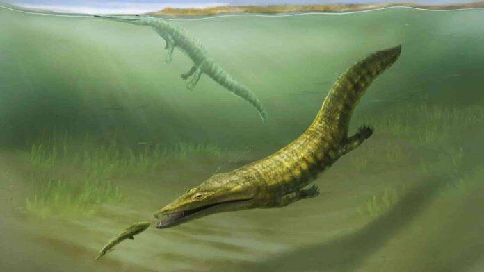 Lost fossils reveal sea monsters that took over after Earth’s greatest ...