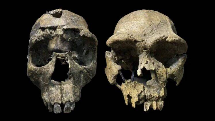 Scientists just discovered Africa is closer to breaking apart than we ...